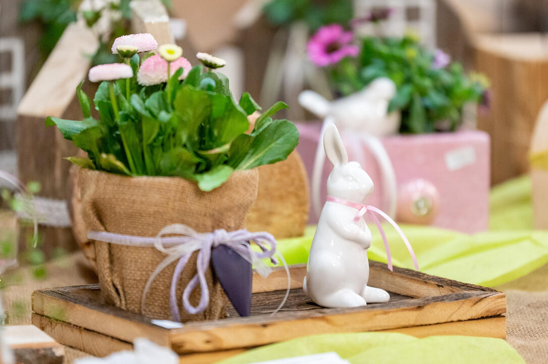 Fotogalerien - Vaterland online