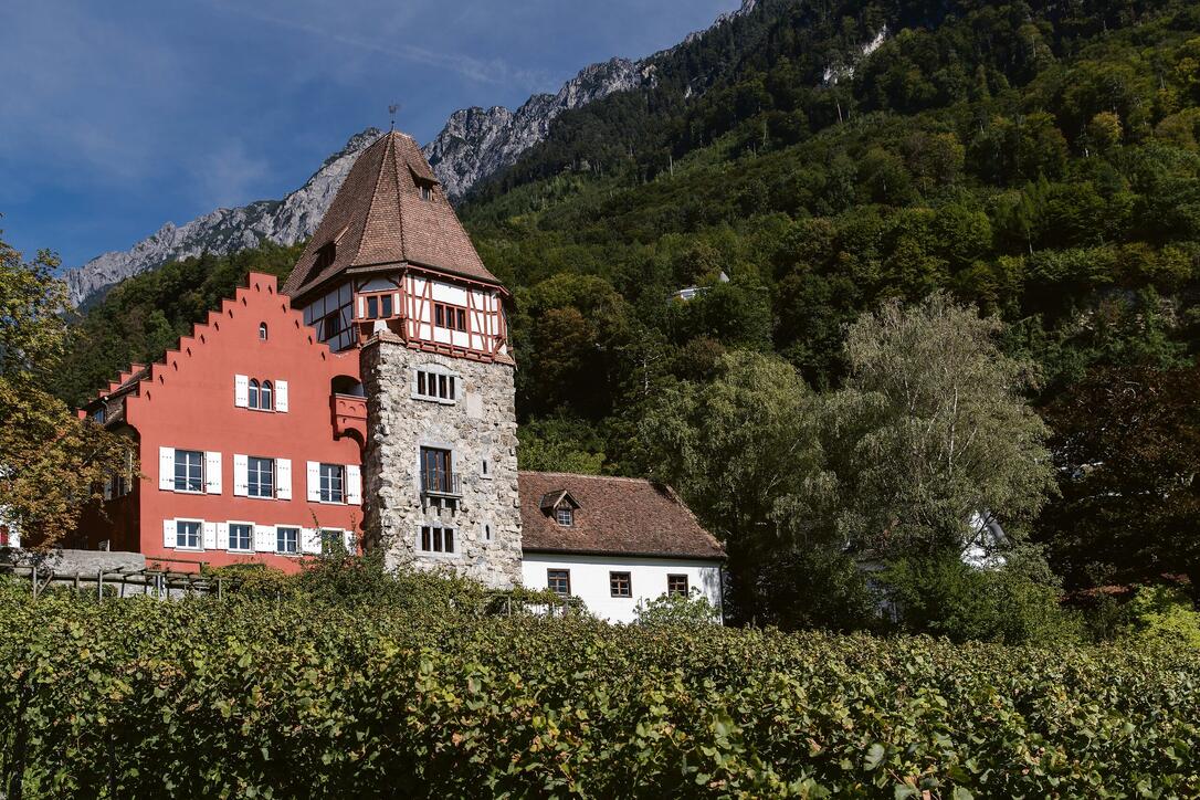 Liechtensteiner Vaterland - Fotogalerien - Vaterland online