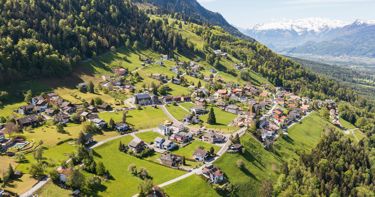 Das grosse #näherdran-Planken-Quiz - Vaterland online