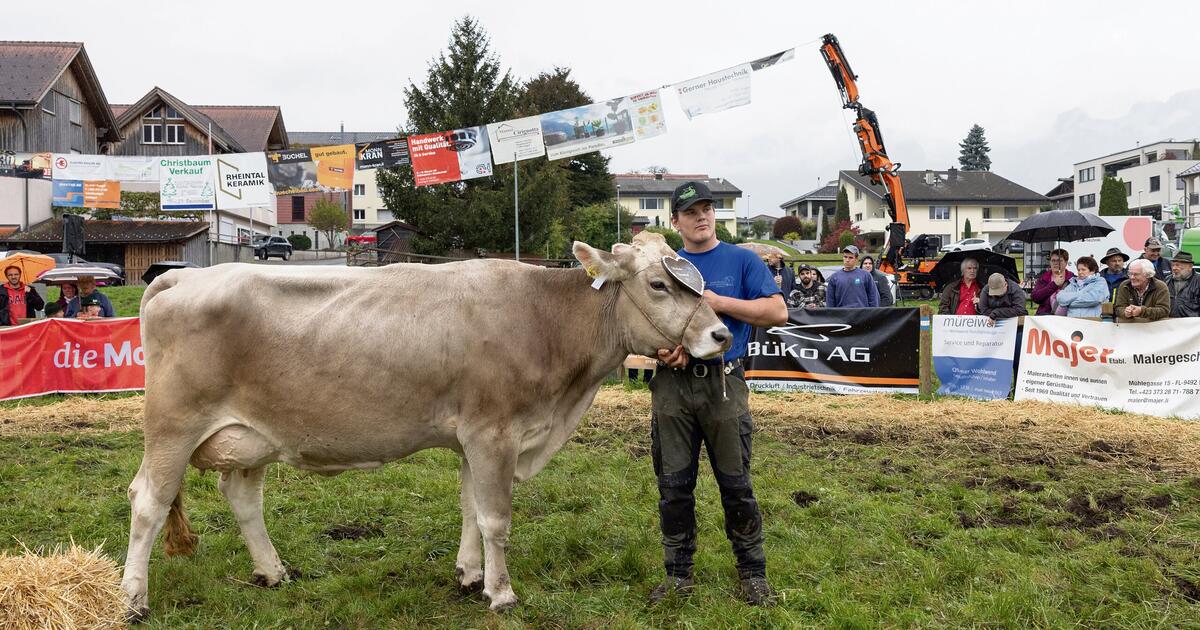 Baskia am Unterländer Prämienmarkt zur neuen «Miss Liechtenstein ...