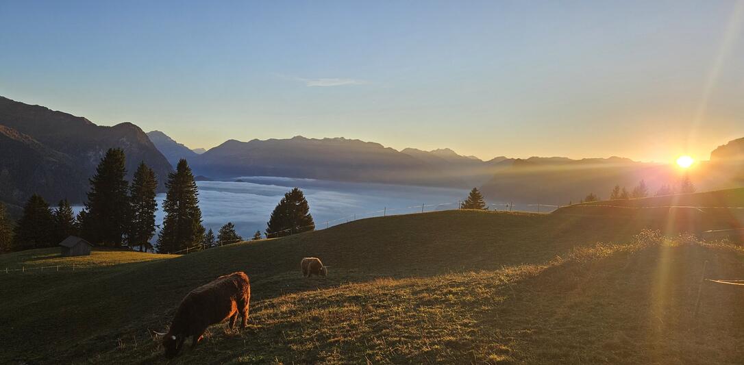 Liechtensteiner Vaterland - Fotogalerien - Vaterland online