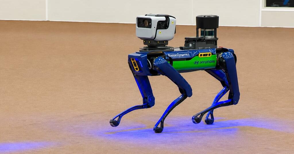 Roboterhunde an der Fussball-WM in Dallas im Einsatz - Vaterland online