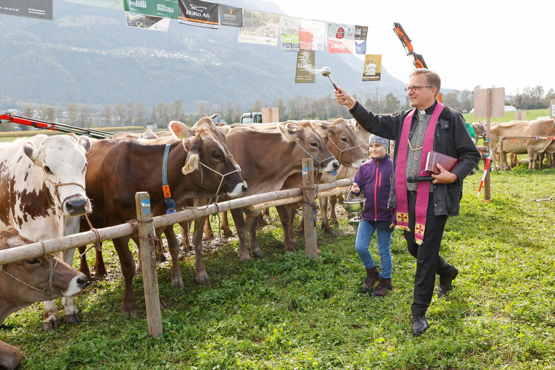Liechtensteiner Vaterland - Fotogalerien - Vaterland online