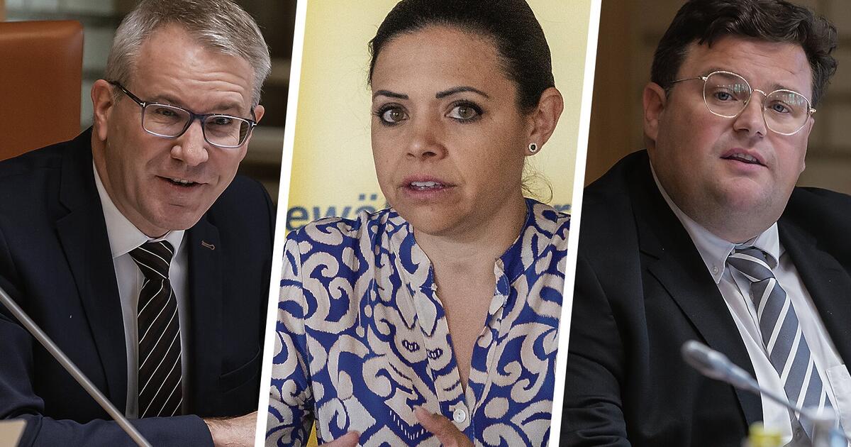 Daniel Oehry: «Das ist kein Präsidium mit Ablaufdatum» - Vaterland online